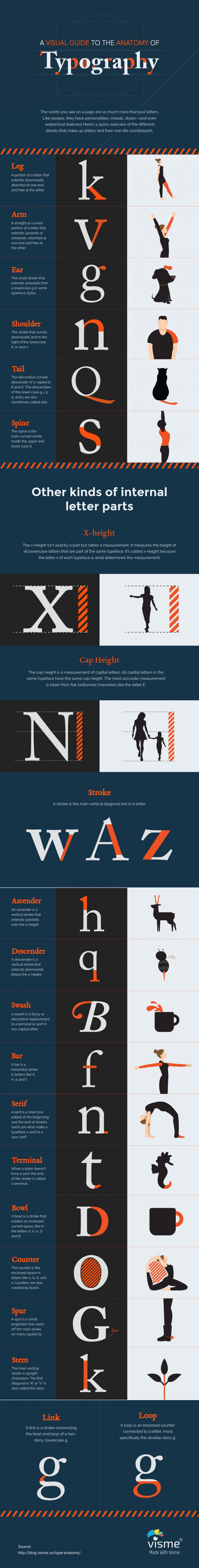 A Visual Guide to the Anatomy of Typography [Infographic] » Skillz ME